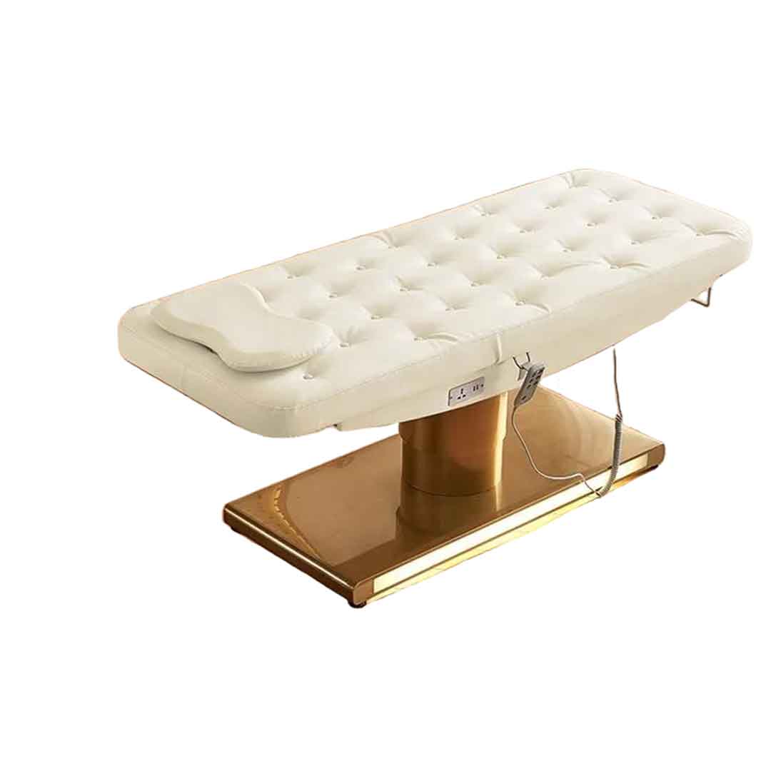 Modern Spa Facial Treatment Reclining Massage Electric Beauty Bed ...